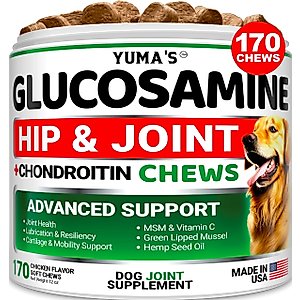 Glucosamine for Dogs - Hip and Joint Supplement for Dogs - 170 Ct - Glucosamine Chondroitin for Dogs Chews - Dog Joint Pain Relief with MSM - Advanced Dog Joint Supplement Health - Mobility Support