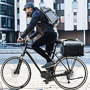 Dirza Bike Basket Rear with Liner,Cargo Net Large Rear Bike Basket,Heavy Duty Bicycle Rear Basket for Electric Bike, Ebike,Great for Bike Trip,Carrying Grocery,Ball,Dog