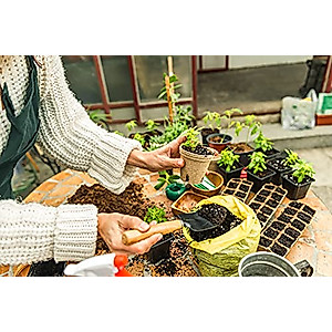 Indoor Live Herb Garden & Plant Seed Starter Kit - DIY Transplanting Kit for Beginners & Kids | Includes Seeds, Soil, Pots, Markers, Instructions, & Grinder | Parsley, Basil, Cilantro, & Chive Seeds
