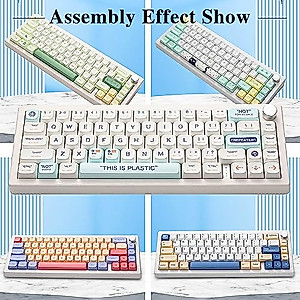 BOYI GMK67-65% Barebones Keyboard Kit,Hot Swap BT5.0/2.4G/Type-C Tri-Mode Wireless RGB Mechanical Keyboard PCB Mounting Kit with Silicone Pad,South-Facing LEDs Customized Keyboard Kit(White+Knob)