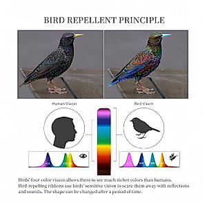 SATONBEYI 1 Roll Bird Scare Tape Ribbon,2 Inch*200 Ft Bird Tape for Outside,Easy Use Bird Reflective Tape for Garden, Orchard,Farmor Courtyard(Silver)