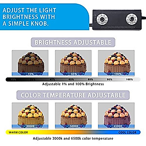 ZKEEZM Light Box Photography 24"x24" with 240LED Lights and 6 Color Backdrops Photo Box with Lights Foldable Light Box with Adjustable Brightness, 3000-6500K Dimmable Portable Picture Box Shooting