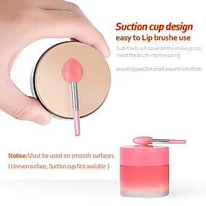 Silicone Lip Brushes 10pcs Makeup Lipstick Brush Wands Applicator Cosmetic Wands Fit Lip Mask Oil