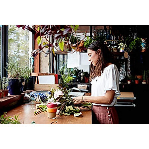 KeepCup 12oz Reusable Coffee Cup. Toughened Glass Cup & Non-Slip Silicone Band. 12-Ounce/Medium, Black