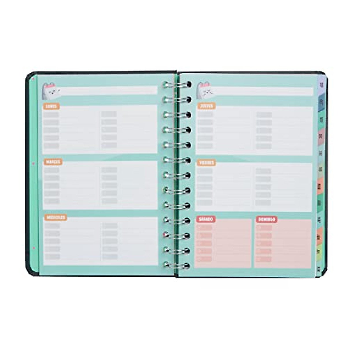 Mr. Wonderful, Wonder 2023-2024 Weekly Planner, Lots to Get and Thousand Dreams to Fulfill