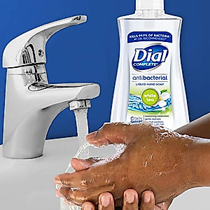 Dial Antibacterial Liquid Hand Soap, White Tea, 7.5 Fl Oz (Pack of 12)