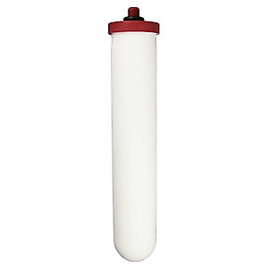 Mountain Plumbing 661RFC Mountain Pure Replacement Cartridge