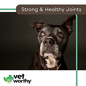 Vet Worthy Joint Support Level 4 - Chewable Tablet| Supports Bone Health and Healthy Joints - Dog Supplement with Glucosamine and Hyaluronic Acid | Vet Strength Joint Care | Liver Flavor, 60-Count