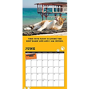 2023 Too F*cking Cute Cats Wall Calendar: A Year of D*mn Adorable Kitties (Funny Monthly Calendar & White Elephant Gag Gift for Cat Lovers)