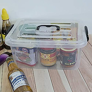 Xowine 8 L Plastic Storage Boxes, Clear Storage Bin with Black Handle, 2-Pack