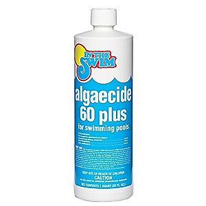 In The Swim Swimming Pool Algaecide 60 Plus - 1 Quart