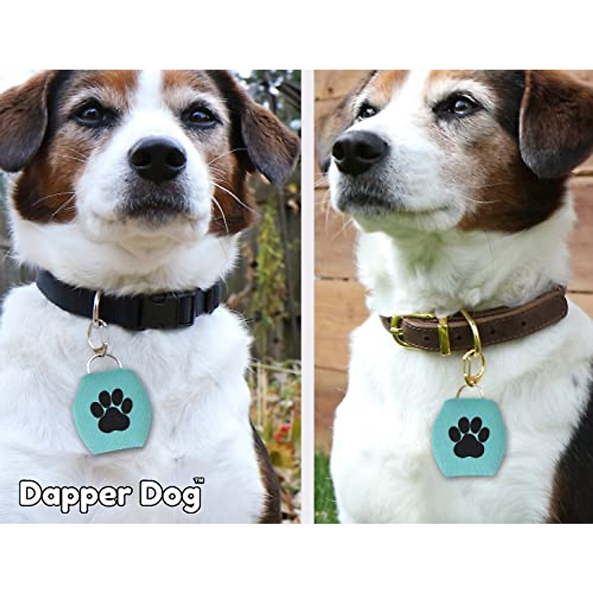Dapper Dog Dog Tag Silencer with Gold and Silver Kwik Clips and Gold and Silver Tag Rings (Teal with Black Paw)