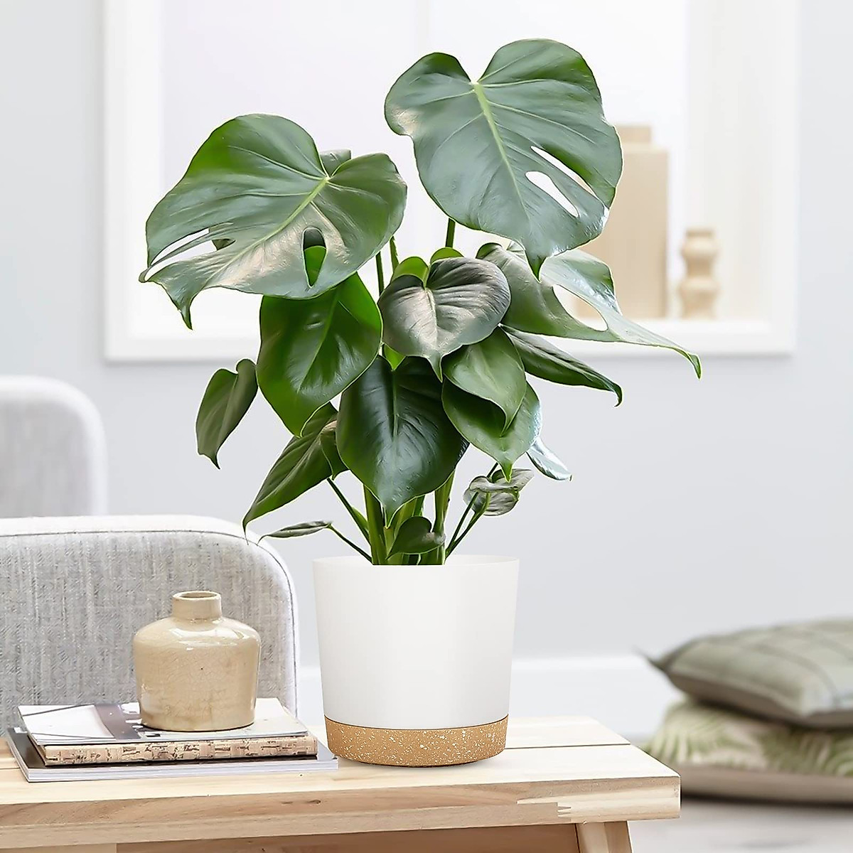 DEMACIYA 8 Inch Plant Pots, 2Pack Planters for Indoor Plants with Drainage Holes and Removable Base, Saucer Modern Decorative for Outdoor Garden Planters