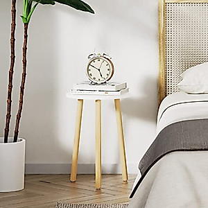 Plant Stand Indoor, 16.5 in Tall Plant Stand Indoor, Wood Plant Stand White, Plant Stool, Plant Stands for Indoor Plants, Small Side Table, Plant Tables, Small Round Mid Century Modern Plant Stand