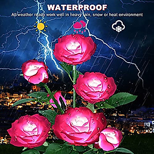Calyla Solar Lights Outdoor 7 Rose Flowers Solar Garden Lights Garden Stake Lights Path Decorative Rose Lights for Patio Yard Pathway Landscape Enlarged Solar Panel (Pink)