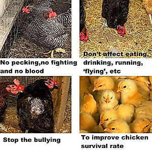 Weilan Pinless Peepers with Pliers for Chickens Blinders Pheasant Poultry Spectacles Anti-Pecking Plier Tool(Red)