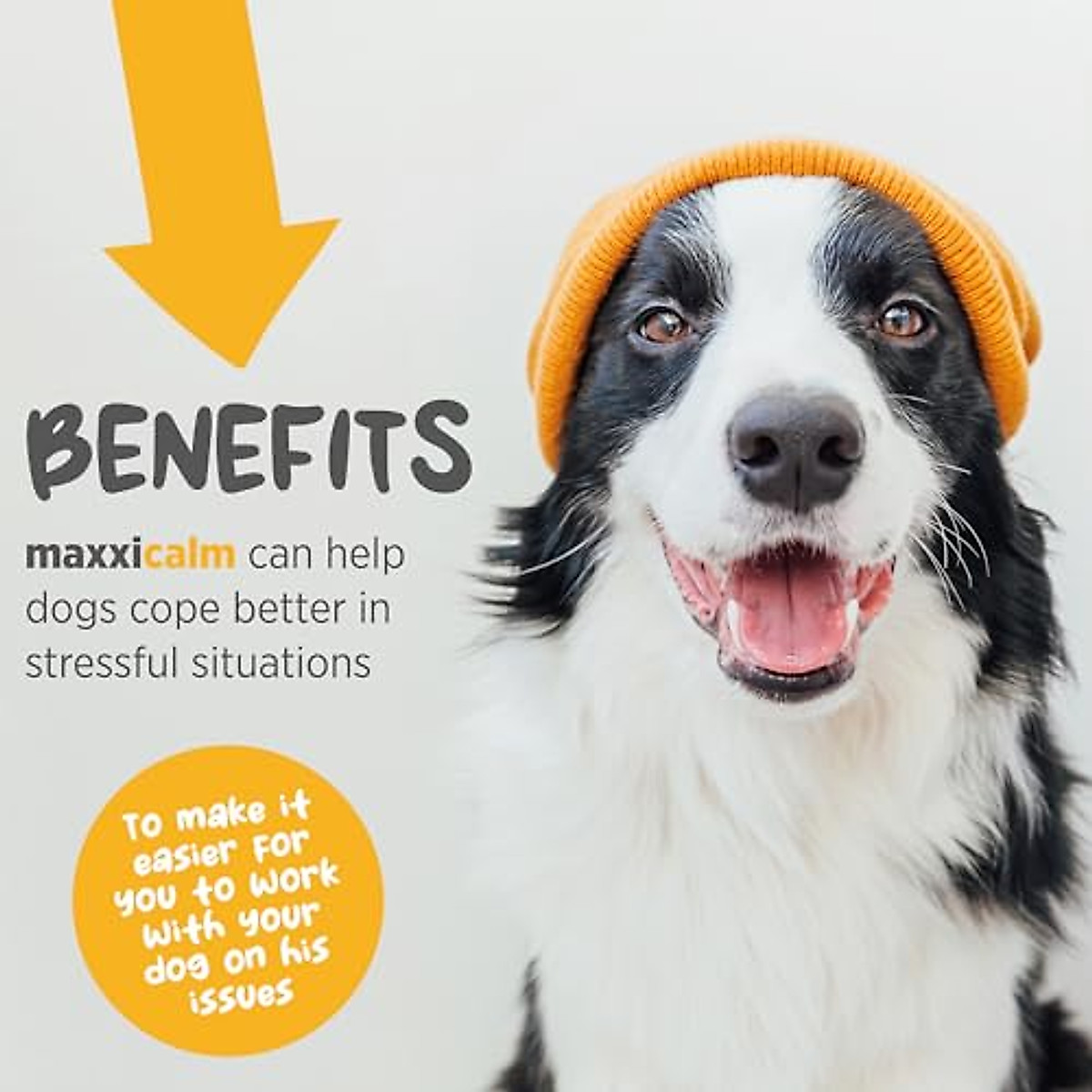 maxxipaws maxxicalm Natural Calming Supplement for Dogs - 120 Non-Drowsy Tablets