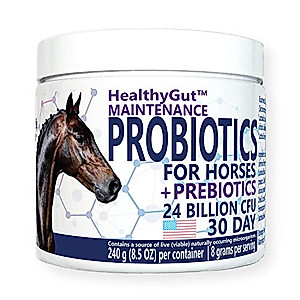 Equa Holistics HealthyGut™ Probiotics for Horses Dietary Supplement, All-Natural Digestive System Maintenance Formula (30 Days)