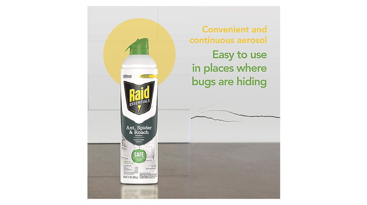 Raid Essentials Ant & Roach Killer Spray - Child & Pet Safe