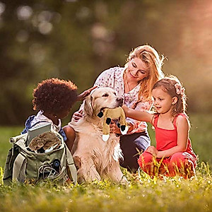 Nocciola 5 PCS Crinkle Dog Squeaky Toys with Double Layer Reinforced Fabric, Durable Plush Dog Toys, No Stuffing Body Dog Toy Set for Small to Large Dogs (5pcs 10 squeakers, Jungle Series1)