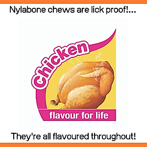 NYL Daily Dent Drbl Chew Xs