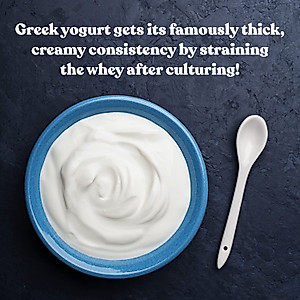 Cultures for Health Greek Yogurt Starter Culture | 2 Packets Dehydrated Heirloom Style DIY Probiotic Yogurt | Delicious for Smoothies, Granola and Berries, Tzatziki, Soup, & Other Healthy Snacks