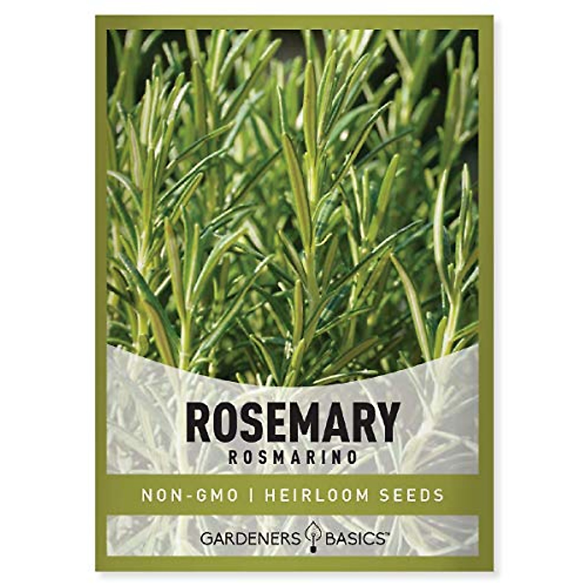 Rosemary Seeds for Planting - It is A Great Heirloom, Non-GMO Herb Variety- Great for Indoor and Outdoor Gardening by Gardeners Basics