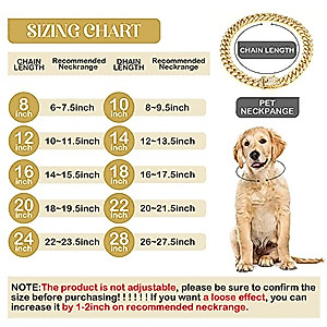 Tallew Dog Chain Diamond Cuban Collar Walking Metal Chain Collar with Design Secure Buckle, Pet Cuban Collar Jewelry Accessories for Small Medium Large Dogs Cats (Gold, 12 Inch)