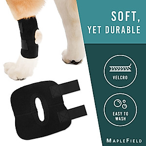 Maplefield - Dog Leg Brace - Rear Hock Hind Leg Support for Canines - Helps Promote Healing and Rehabilitation, Prevents Injuries, and Helps with Arthritis (XS)