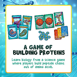 Genius Games Peptide: A Protein Building Game | A Strategy Card Game with Accurate Science for Gamers and Teachers | Teaches Amino Acids, mRNA, Organelles