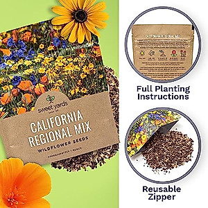California Wildflower Mixture - Bulk 1 Ounce Packet - Over 7,000 Native Seeds - Open Pollinated and Non GMO