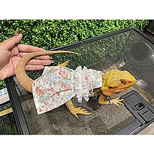 Lizard Dress for Bearded Dragon - Handmade Cotton Tutu Skirt with Lace Princess Sundress Halloween Costume Photo Cosplay Party for Reptile Lizard Bearded Dragon Crested Gecko Chameleon (M, Pink)