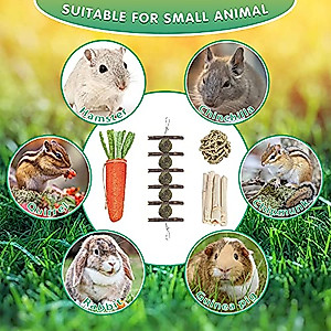 GANBRIPS 4 Pack Rabbit Chew Toys for Teeth, Bunny Chew Treats, 100% Natural Apple Wood Sticks Timothy Hay Balls Loofah Carrot Sweet Bamboo Toys for Bunnies/Chinchillas/Guinea Pigs/Hamsters