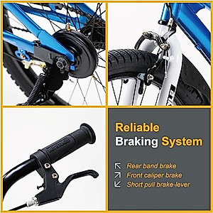 RoyalBaby Freestyle Kids Bike 20 Inch Wheel Bicycle Teens BMX with Dual Hand Brakes Kickstand Boys Girls Ages 6-10 Years, Pink