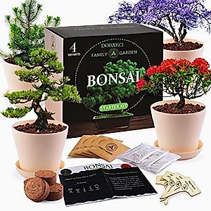 DORAKCI Bonsai Tree Kit - Gardening Gift for Men & Women - Bonsai Tree Growing Garden Crafts Hobby Kits for Adults - Room Decor - Bonsai Tree for Beginners - Crafts for Adults