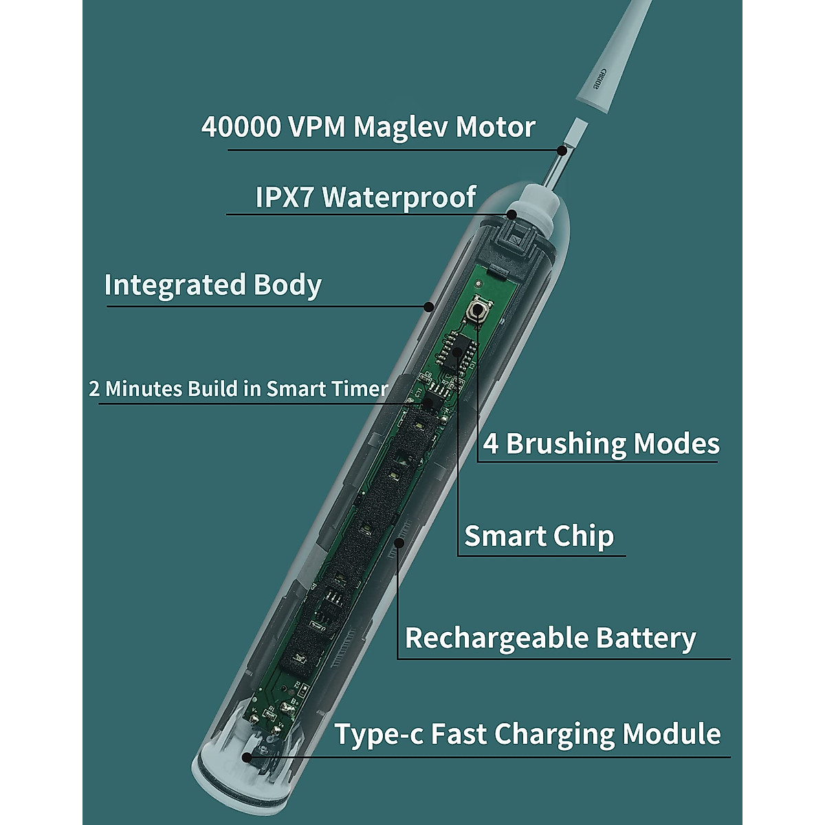 CRKIOB Electric Toothbrush for Adults Ultrasonic Rechargeable Power Toothbrushes One Charge for 180 Days Use with 2 Brush Heads and Holder Electric Toothbrushes (Green)