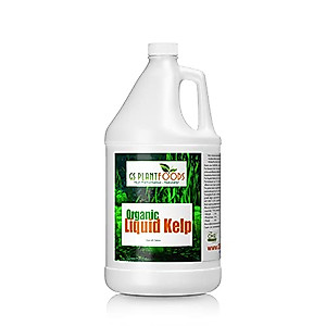 Organic Kelp Fertilizer by GS Plant Foods - Omri Listed(1 Gallon) - Liquid Kelp Concentrate for Gardens, Lawns & Soil Yields 800+ gallons
