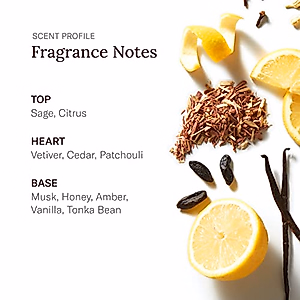 Stetson Original by Scent Beauty - Cologne for Men - Classic, Woody and Masculine Aroma with Fragrance Notes of Citrus, Patchouli, and Tonka Bean - 0.75 Fl Oz