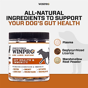 WINPRO | Dog Gut Health Supplement, Plasma-Powered Chews for Digestive Health, Fast Acting Immune Support in Dogs of All Breeds and Sizes, 60 Count, Made in USA