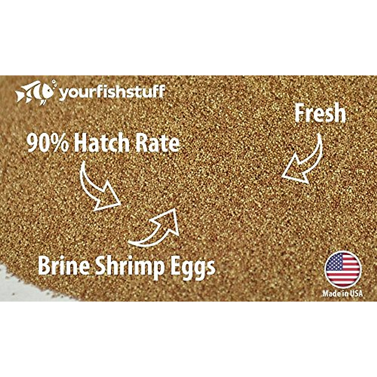 Brine Shrimp Eggs 50 Gramm (Artemia Cysts) of 90% Hatch Rate Fish Food