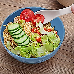 Shopwithgreen Wheat Straw Cereal Bowls with Dust-Proof Lid, Resuable Bowls for Kitchen, Set of 4, Microwave and Dishwasher Safe, for Soup, Oatmeal, Ramen, RV, Camping,College Dorm Room, 24 OZ, Coastal