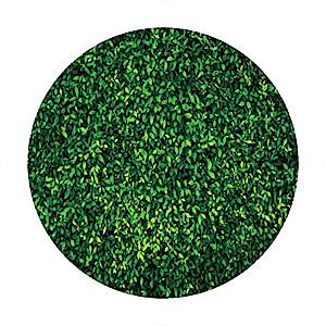 Greenery Green Leaves Round Backdrop Cover Spring Nature Outdoorsy Circle Background (No Stand) for Wedding Birthday Bridal Shower Photography 6.56ft (200cm) Seamless Edge Elastic Photo Studio Props