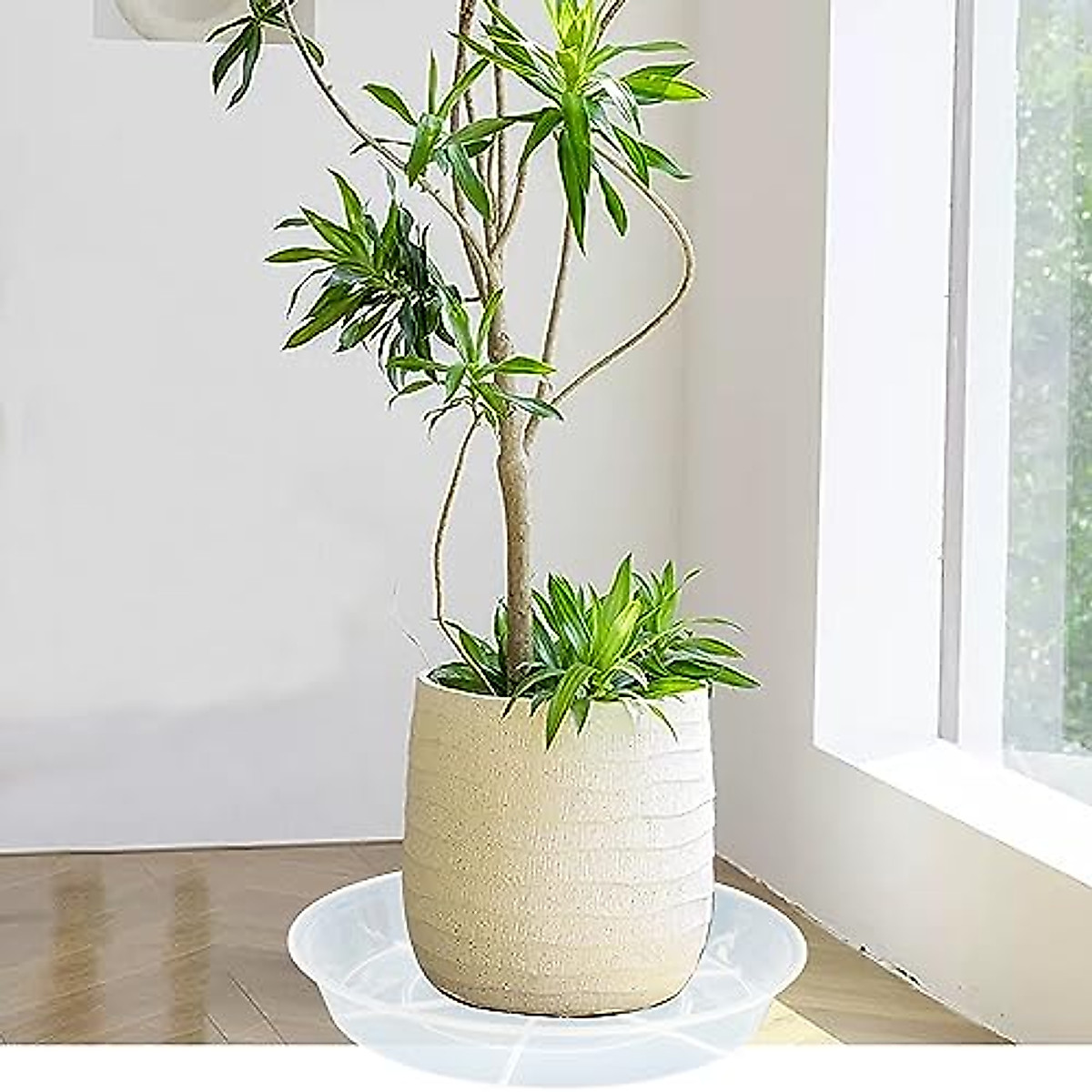 Afrine 4 Pack Plant Saucer Drip Tray 18 19 inch, Plant Drip Trays, Heavy Sturdy Plastic Planter Pot Saucers for Indoor Outdoor Garden, Plant Water Drip Trays for pots (19" 4Pack, Clear)