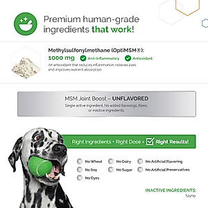 TopDog Health - MSM Joint Boost Powder - Hip & Joint Dog Supplement for Joint Mobility & Flexibility - Natural Anti-Inflammatory with Sulfur - Unflavored
