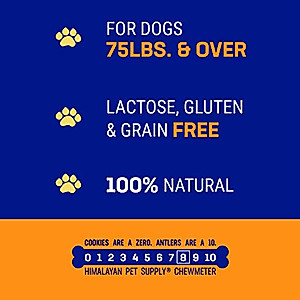 Himalayan Dog Chew for Big Dogs - Long Lasting, Stain Free, Protein Rich, Low Odor - 100% Natural, Healthy & Safe - No Lactose, Gluten Or Grains - XX Large - for Dogs 75 Lbs & Larger
