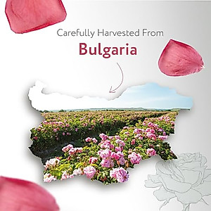 HBNO Organic Rose Floral Water - Huge 4 oz (120ml) Value Size - for Face, Body, Skin, Lips, Hair, Nails, Lotions, Spray - 4 OZ (120 ml)