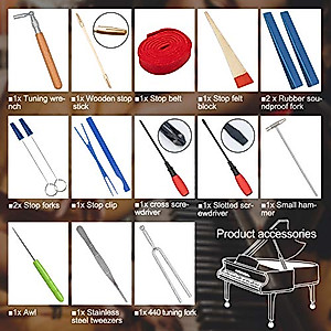 Piano Tuning Kit,YZNlife Professional 16 pcs Piano Tuner Tools Including Tune Hammer Lever Felt, Mutes, Fork,Tuning Wrench,Temperament Strip,Piano Repairing Accessories