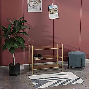 TAZSJG 2/3 Tiers Shoe Rack, Small Shoe Rack Organizer, Space Saving Shoe Shelf, Iron Shoe Rack (Color : A, Size : 2layers)