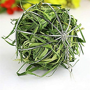 NEISHUI Stainless Steel Ball for Plating Pet Hay Manger Food Ball Rabbit Hamster Grass Rack(Not Including hay)