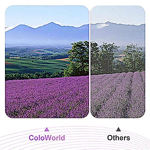 ColoWorld Remanufactured Ink Cartridge Replacement for HP 74XL 75XL 74 75 Combo Pack (1 Black,1 Color) CB336WN Use with PhotoSmart C4280 C5280 C4480 C4250 DeskJet D4360 D4260 OfficeJet J5780 Printer